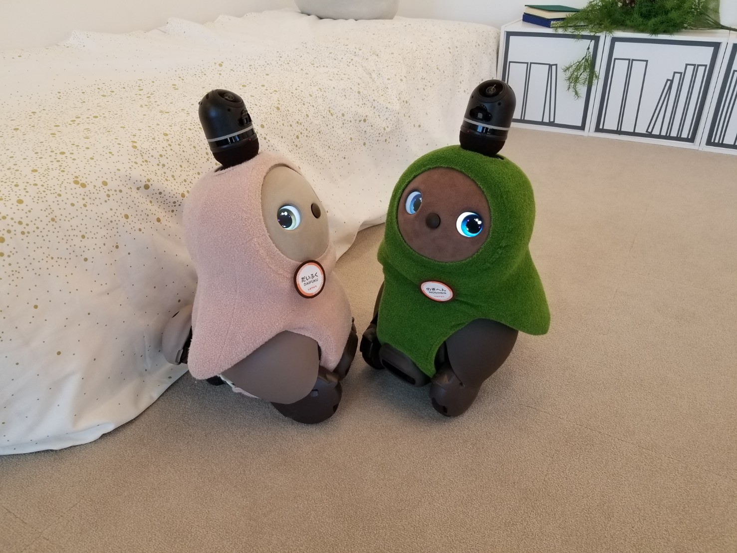 LOVOT MUSEUM(らぼっと)体験したい!実際に会って触れるロボット!可愛すぎる♪ | 『ママ何歳？』湘南にぎやか家族